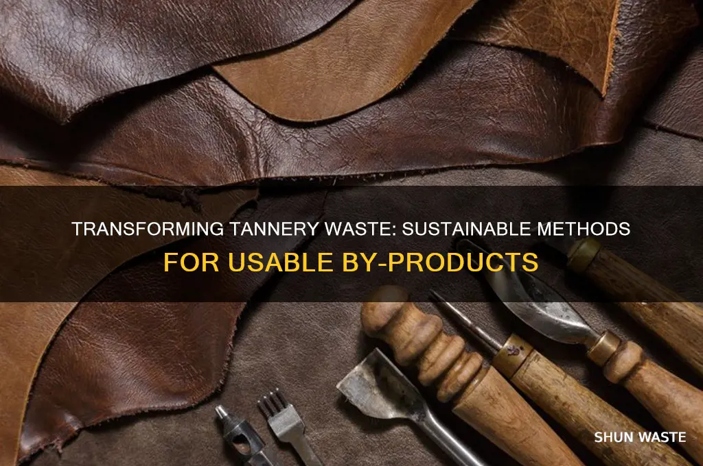 Transforming Tannery Waste: Sustainable Methods For Usable By-Products ...