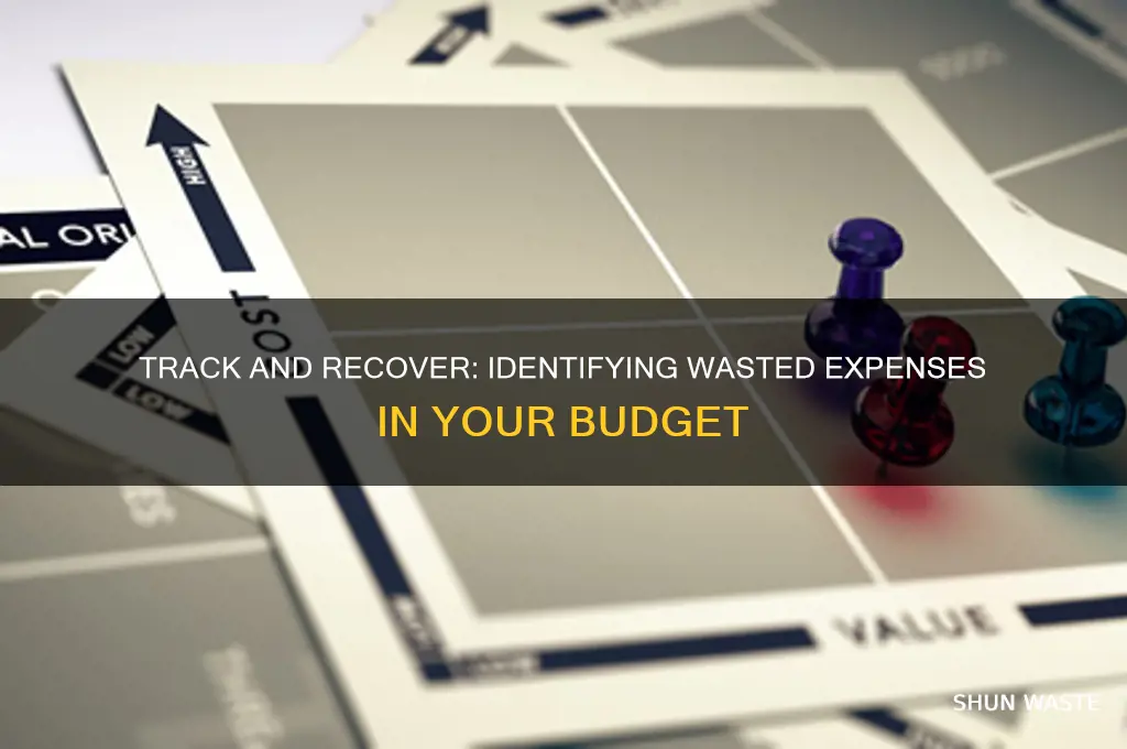 Track And Recover: Identifying Wasted Expenses In Your Budget | ShunWaste