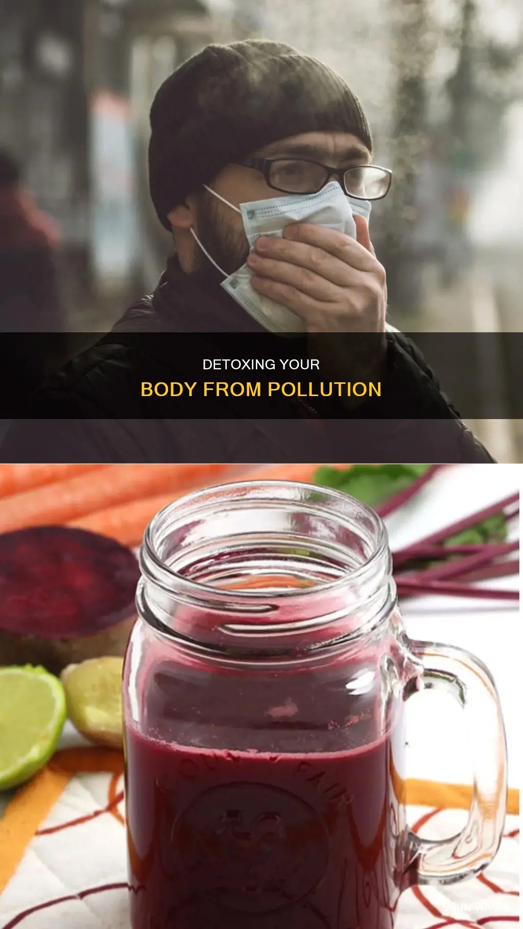Detoxing Your Body From Pollution | ShunWaste