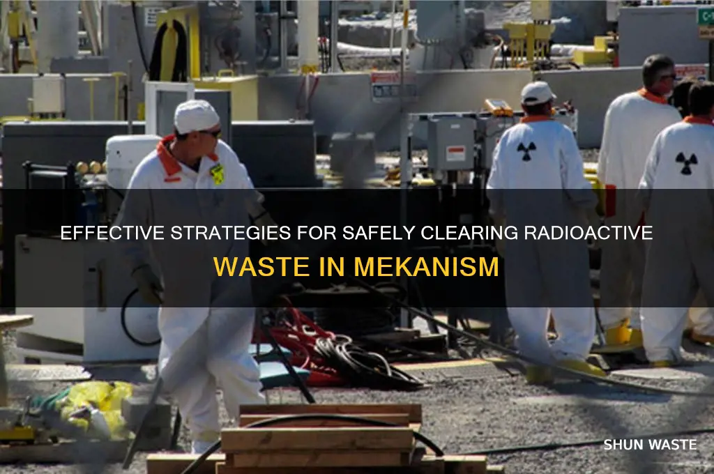 Effective Strategies For Safely Clearing Radioactive Waste In Mekanism ...
