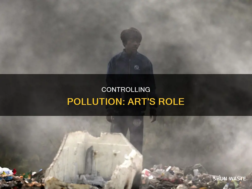 Controlling Pollution: Art's Role | ShunWaste