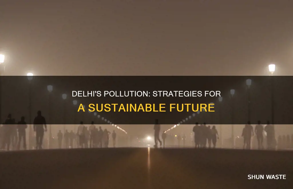 Delhi's Pollution: Strategies For A Sustainable Future | ShunWaste