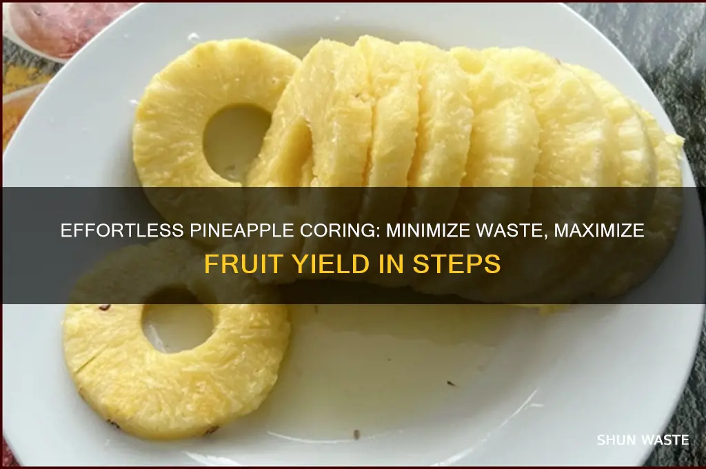 Effortless Pineapple Coring: Minimize Waste, Maximize Fruit Yield In ...