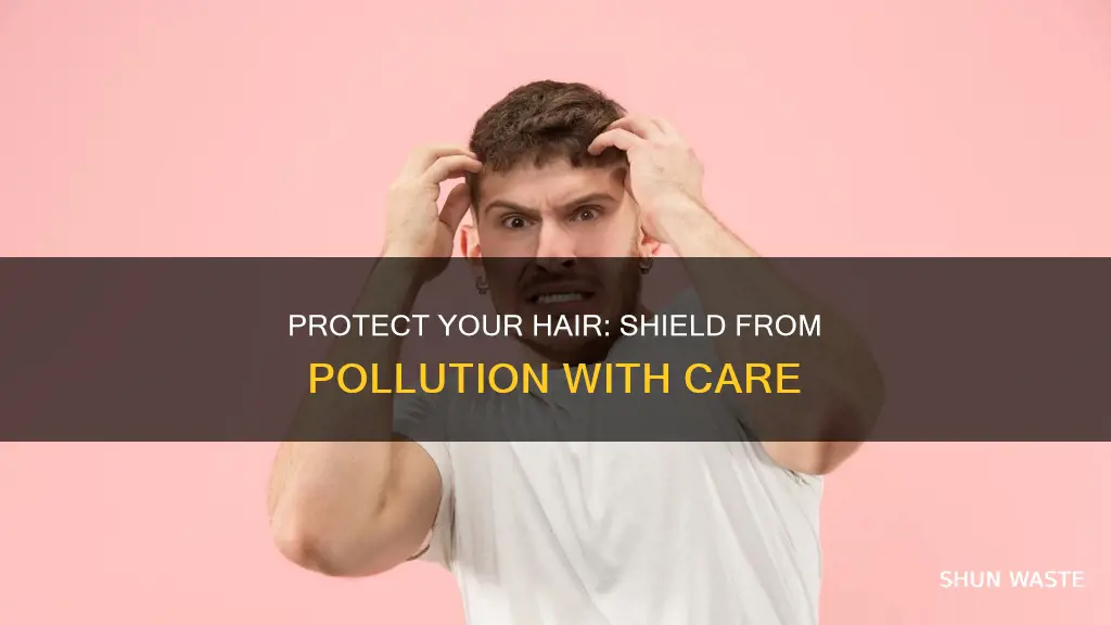 Protect Your Hair: Shield From Pollution With Care | ShunWaste