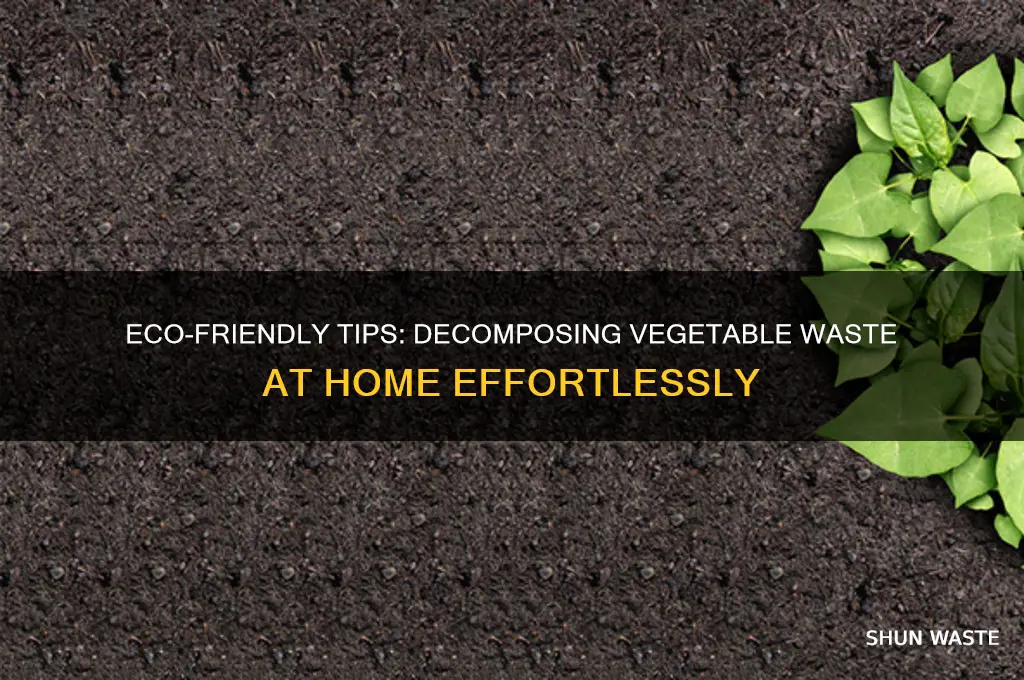 Eco-Friendly Tips: Decomposing Vegetable Waste At Home Effortlessly ...