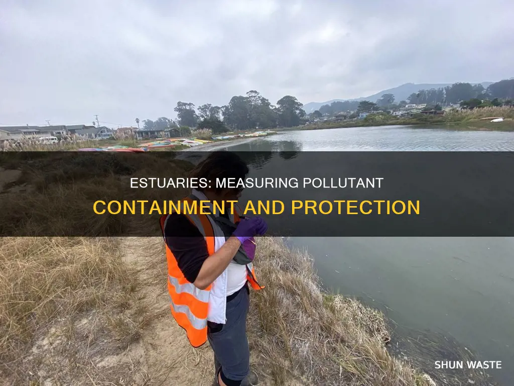 Estuaries: Measuring Pollutant Containment And Protection | ShunWaste