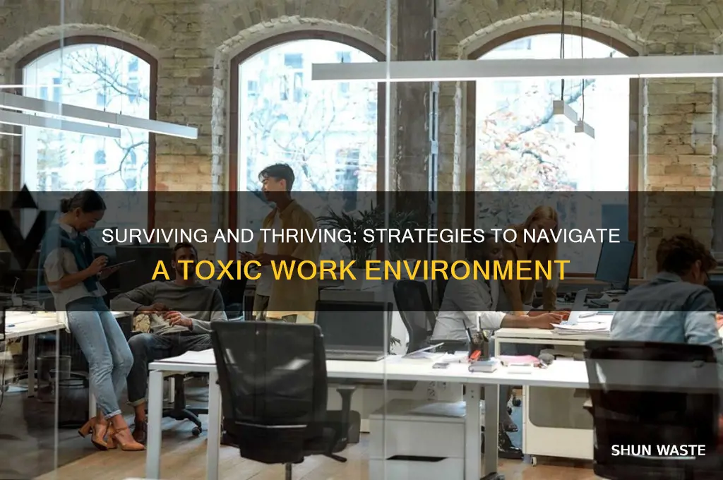 Surviving And Thriving: Strategies To Navigate A Toxic Work Environment ...