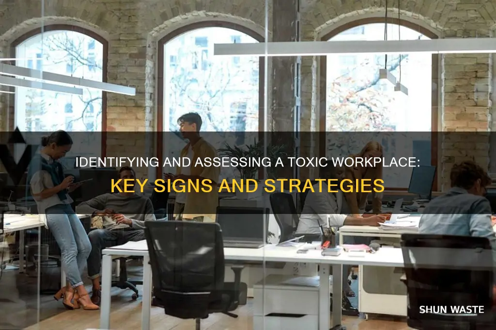 Identifying And Assessing A Toxic Workplace: Key Signs And Strategies ...
