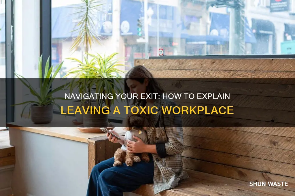 Navigating Your Exit: How To Explain Leaving A Toxic Workplace | ShunWaste