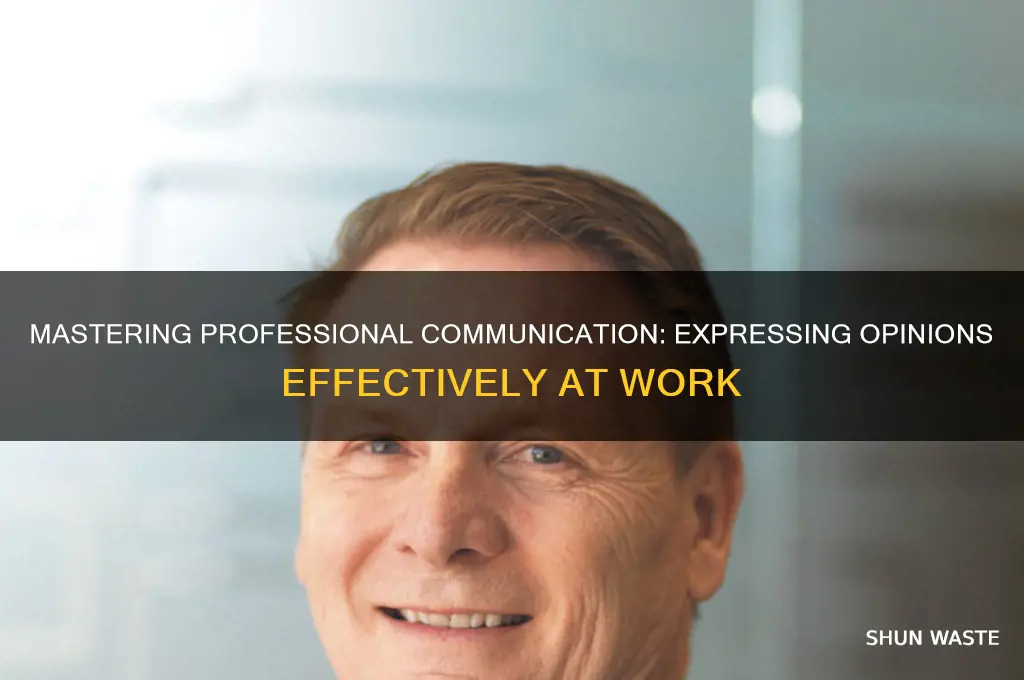 Mastering Professional Communication: Expressing Opinions Effectively ...