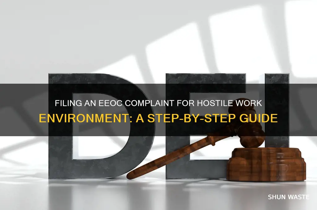 Filing An Eeoc Complaint For Hostile Work Environment: A Step-By-Step ...