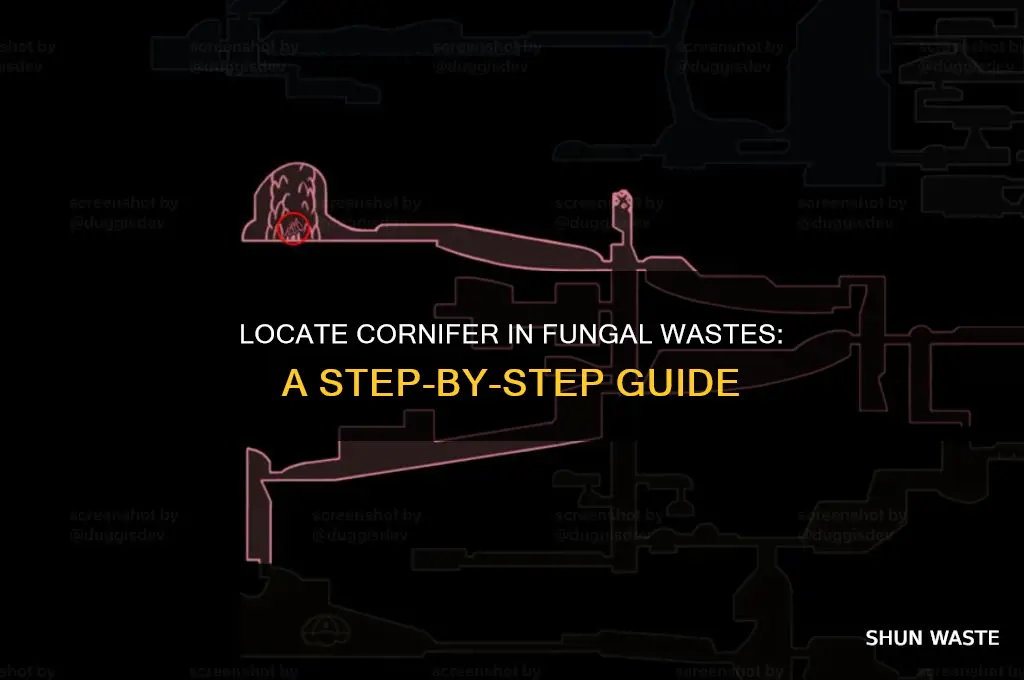 Locate Cornifer In Fungal Wastes: A Step-By-Step Guide | ShunWaste