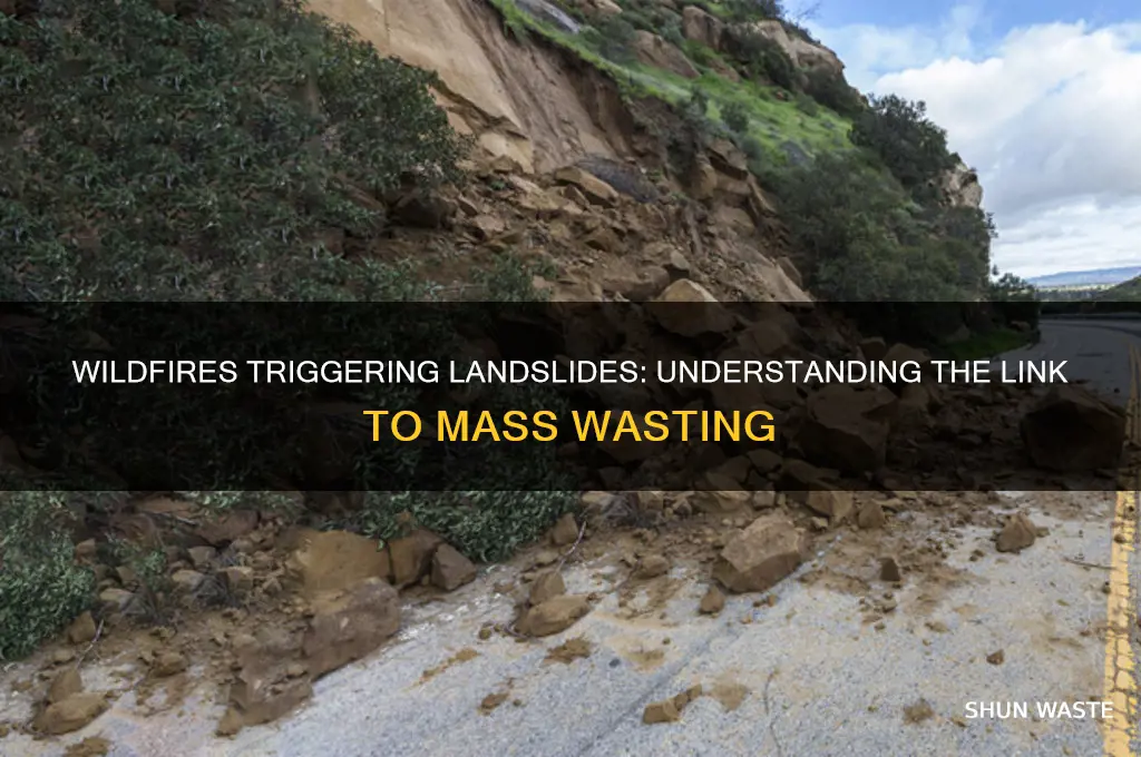 Wildfires Triggering Landslides: Understanding The Link To Mass Wasting ...