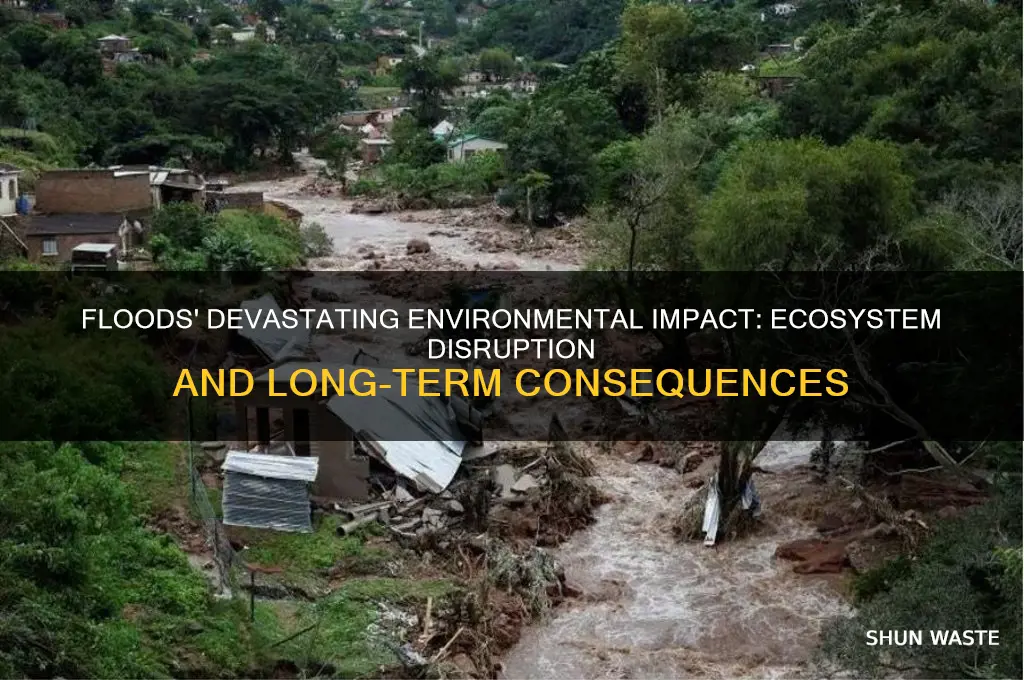 Floods' Devastating Environmental Impact: Ecosystem Disruption And Long ...