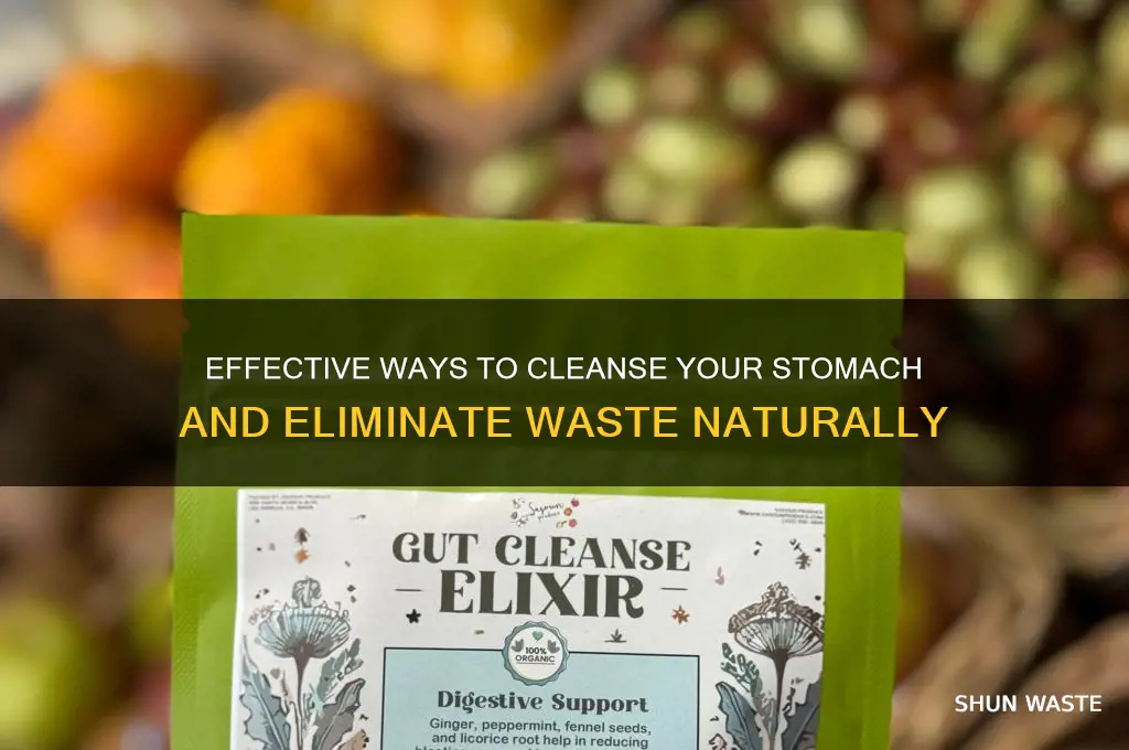 Effective Ways To Cleanse Your Stomach And Eliminate Waste Naturally ...