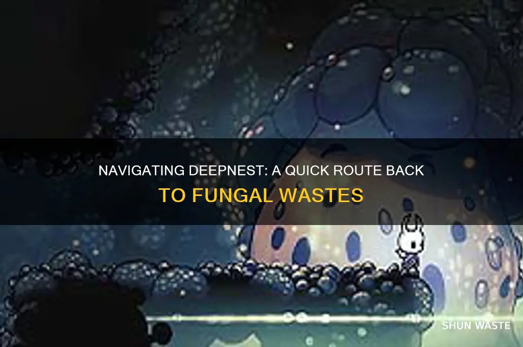 Navigating Deepnest: A Quick Route Back To Fungal Wastes | ShunWaste