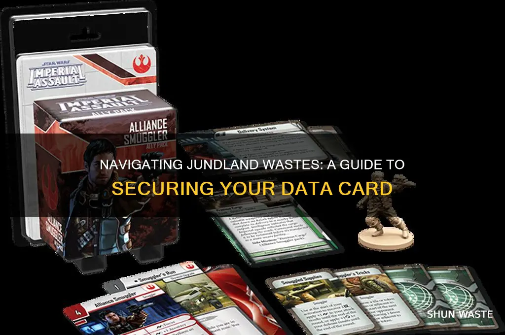 Navigating Jundland Wastes: A Guide To Securing Your Data Card | ShunWaste