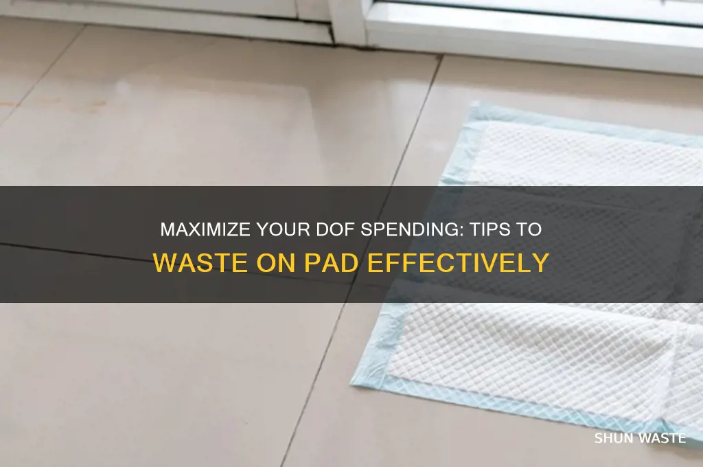 Maximize Your Dof Spending: Tips To Waste On Pad Effectively | ShunWaste