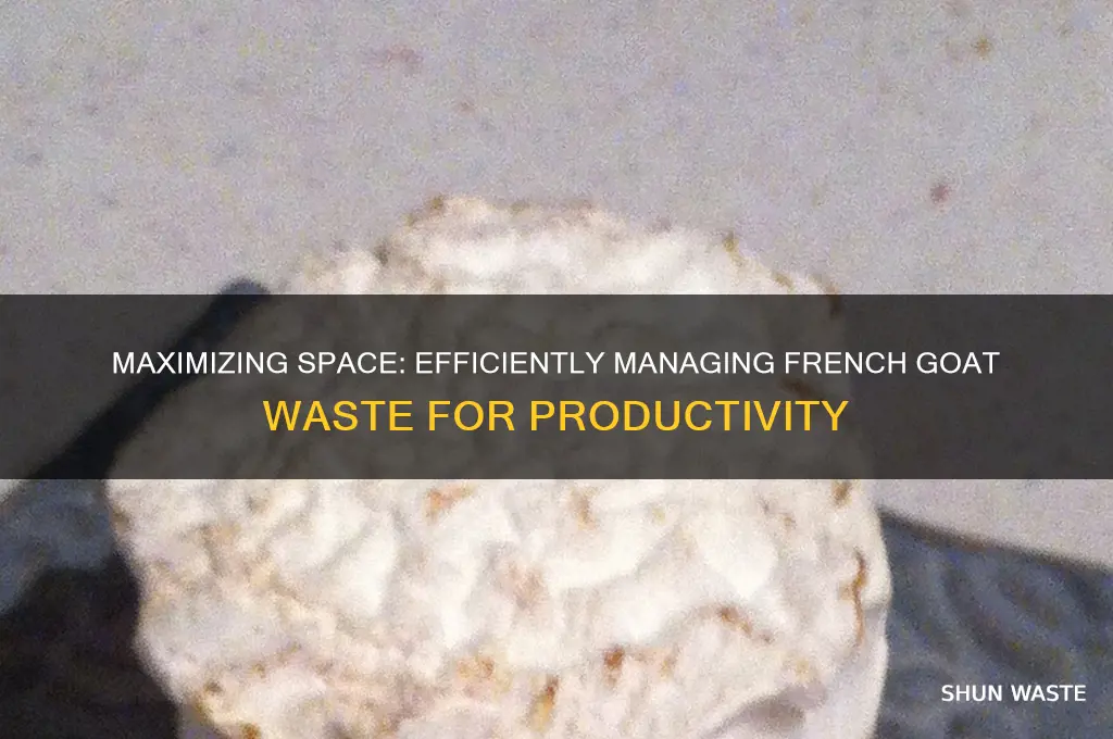 Maximizing Space: Efficiently Managing French Goat Waste For ...