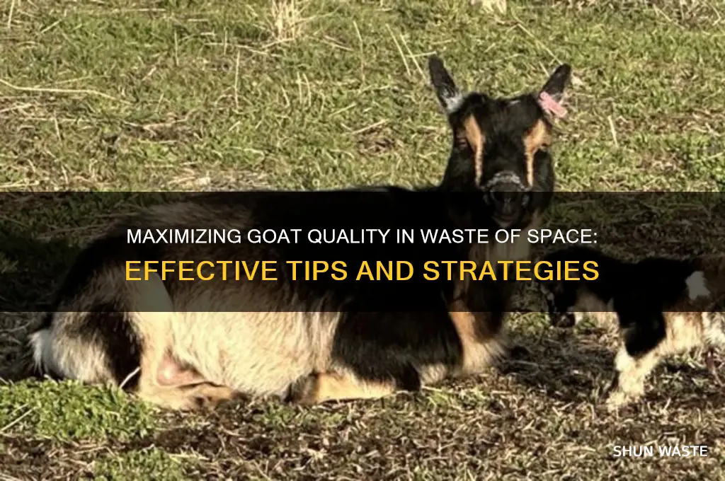 Maximizing Goat Quality In Waste Of Space: Effective Tips And ...