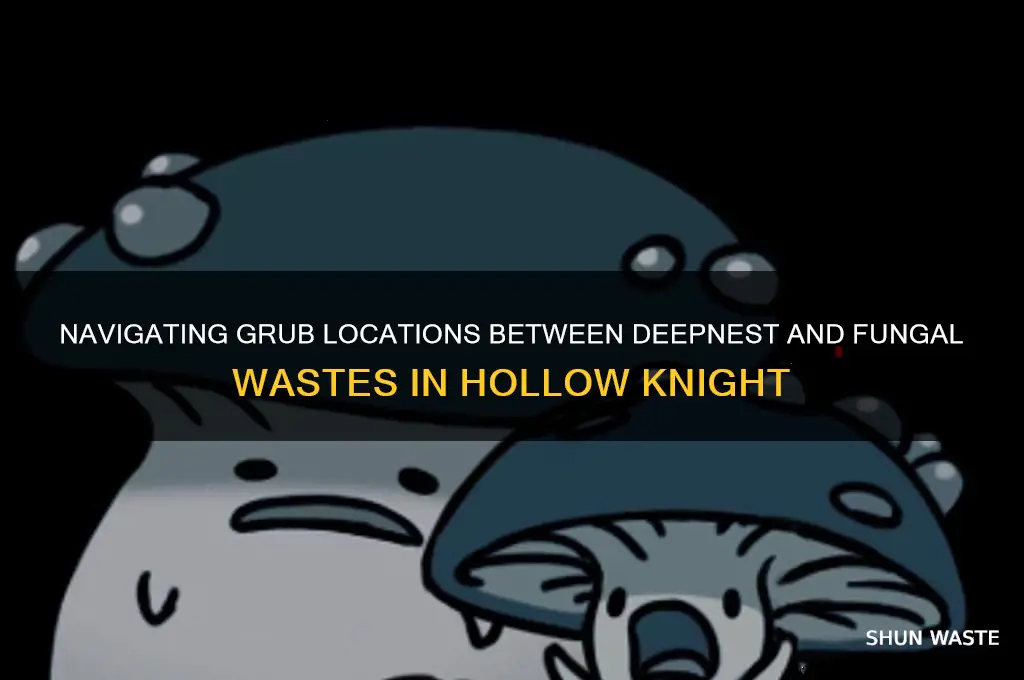 Navigating Grub Locations Between Deepnest And Fungal Wastes In Hollow ...
