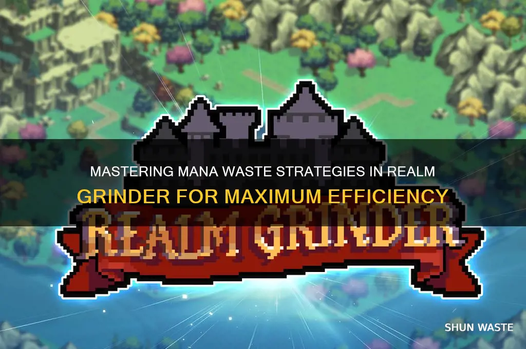 Mastering Mana Waste Strategies In Realm Grinder For Maximum Efficiency ...