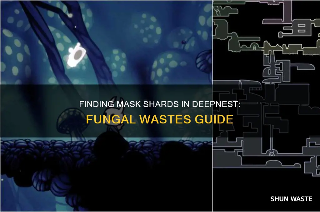 Finding Mask Shards In Deepnest: Fungal Wastes Guide | ShunWaste