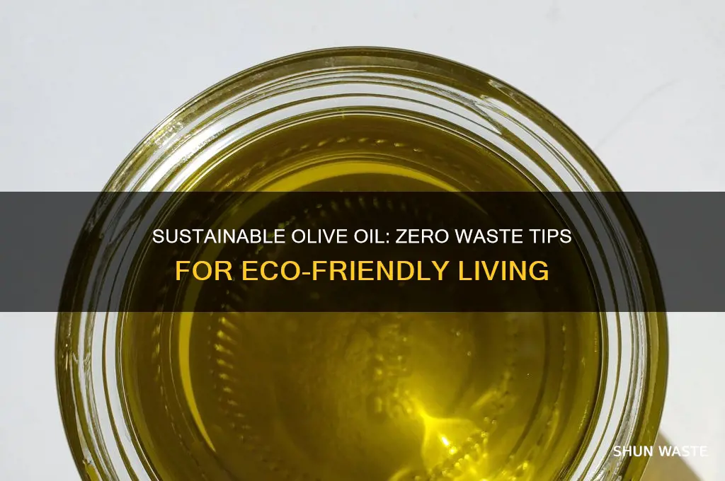 Sustainable Olive Oil: Zero Waste Tips For Eco-Friendly Living | ShunWaste