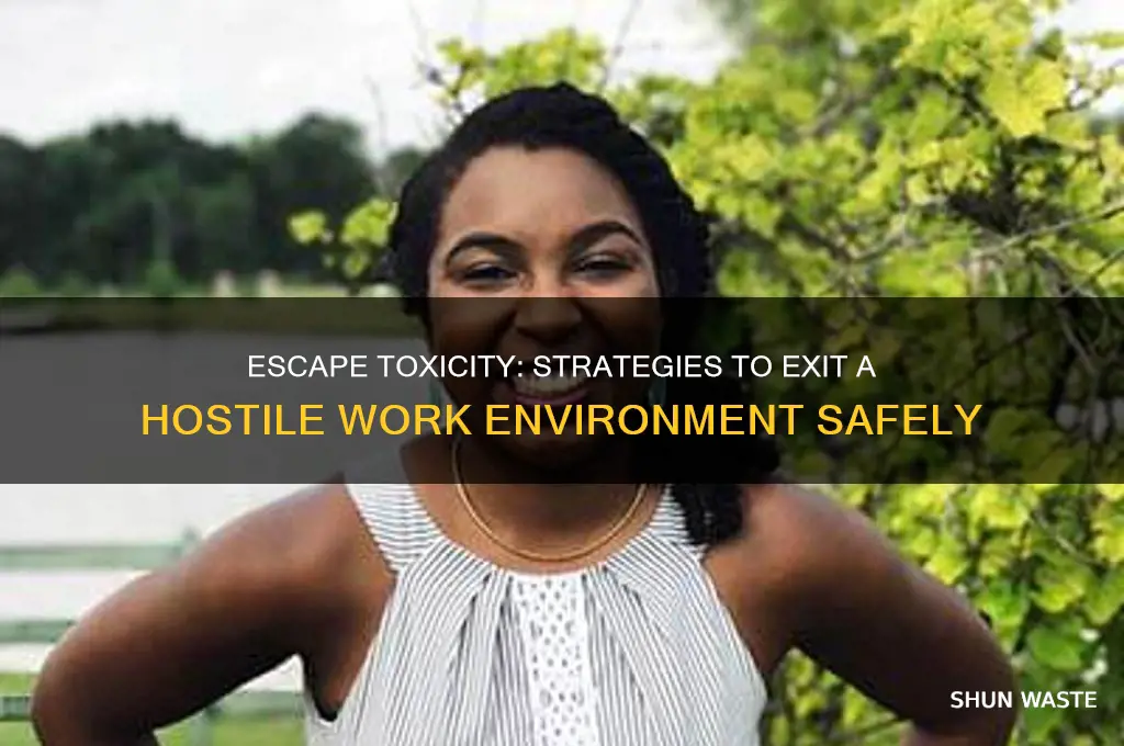 Escape Toxicity: Strategies To Exit A Hostile Work Environment Safely ...