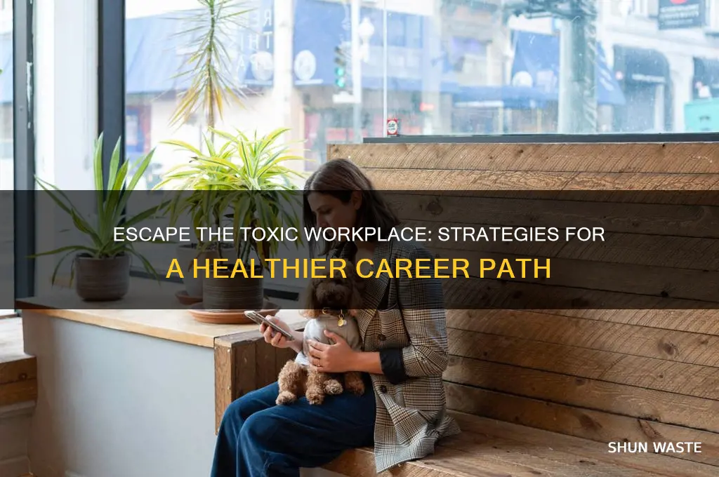 Escape The Toxic Workplace: Strategies For A Healthier Career Path ...