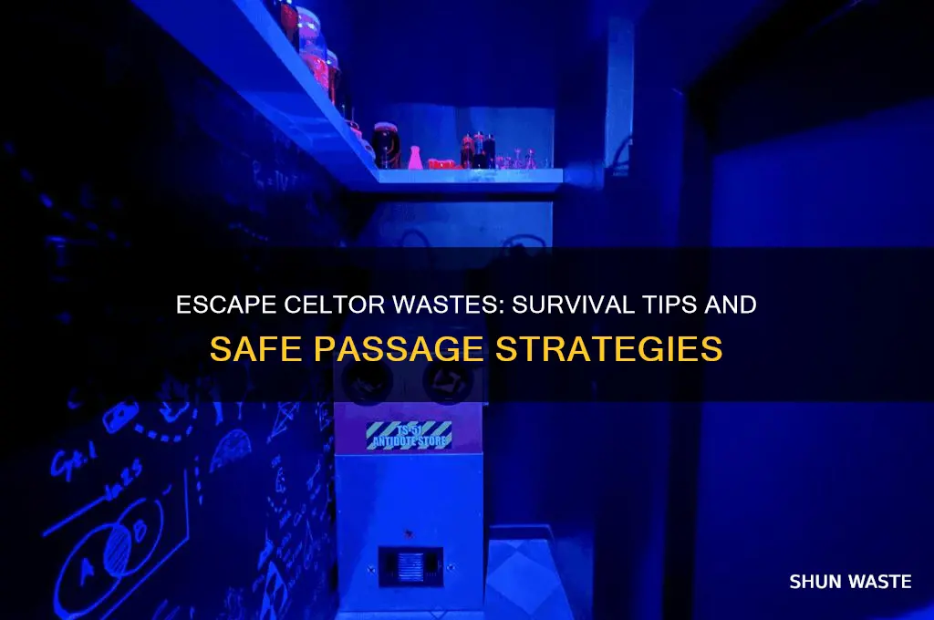 Escape Celtor Wastes: Survival Tips And Safe Passage Strategies | ShunWaste