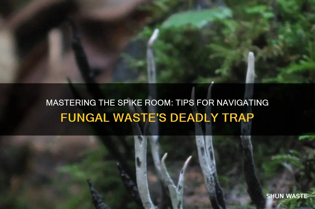 Mastering The Spike Room: Tips For Navigating Fungal Waste's Deadly ...
