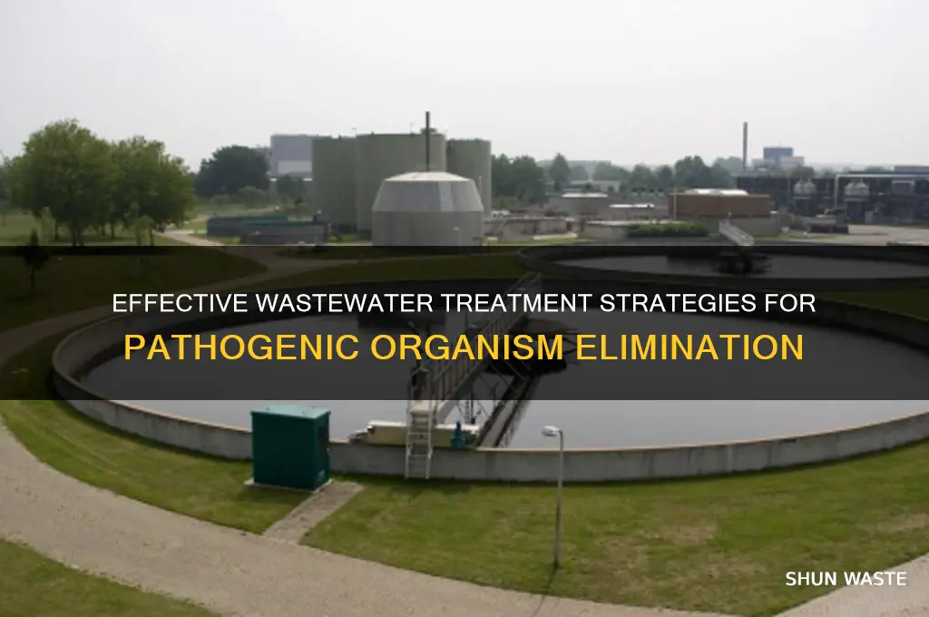 Effective Wastewater Treatment Strategies For Pathogenic Organism ...