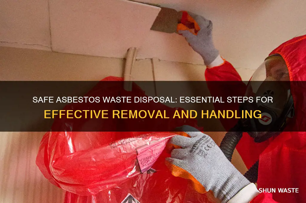 Safe Asbestos Waste Disposal: Essential Steps For Effective Removal And ...