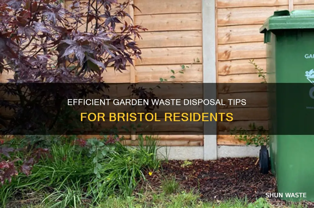 Efficient Garden Waste Disposal Tips For Bristol Residents | ShunWaste