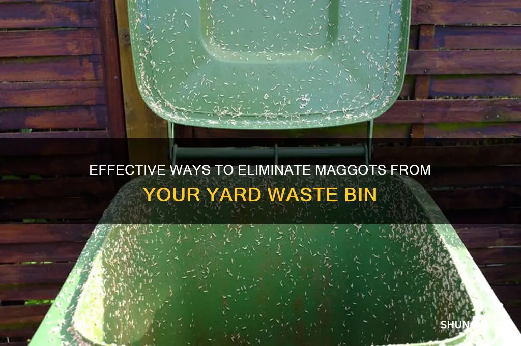 Effective Ways To Eliminate Maggots From Your Yard Waste Bin | ShunWaste