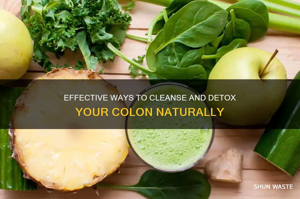 Effective Ways To Cleanse And Detox Your Colon Naturally | ShunWaste
