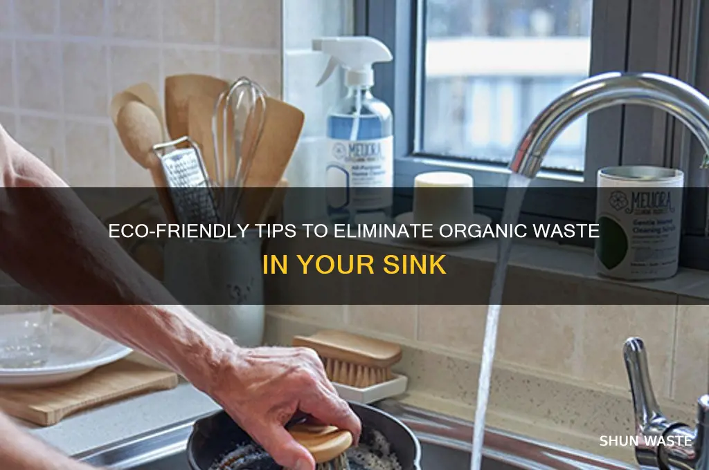 Eco-Friendly Tips To Eliminate Organic Waste In Your Sink | ShunWaste