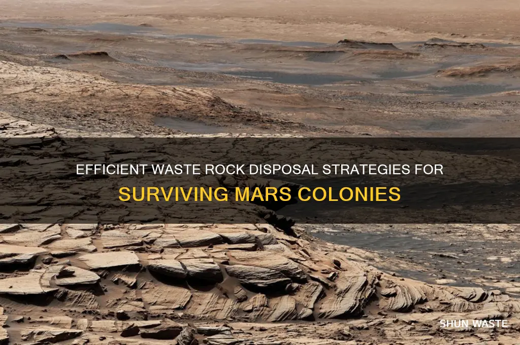 Efficient Waste Rock Disposal Strategies For Surviving Mars Colonies ...