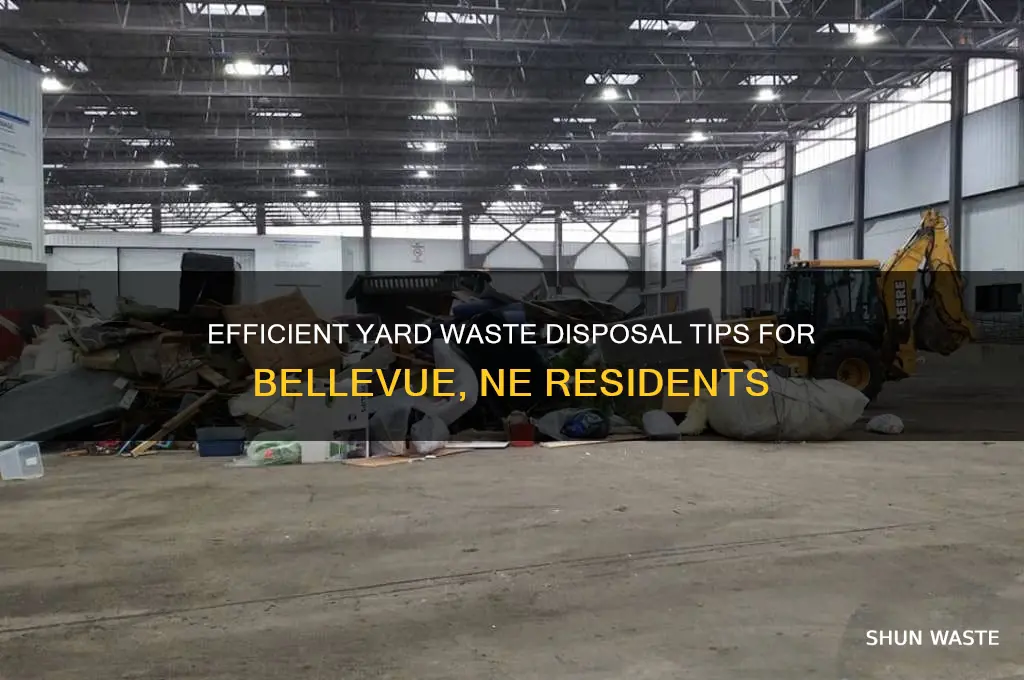 Efficient Yard Waste Disposal Tips For Bellevue, Ne Residents | ShunWaste