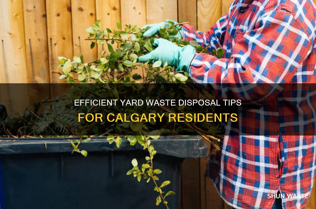 Efficient Yard Waste Disposal Tips For Calgary Residents | ShunWaste