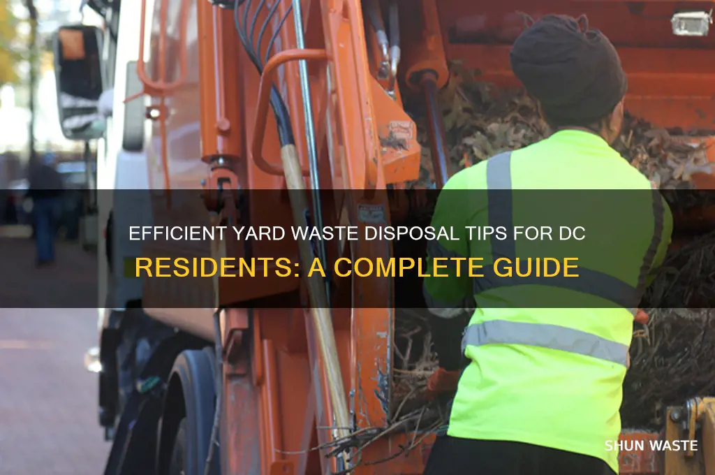 Efficient Yard Waste Disposal Tips For Dc Residents: A Complete Guide ...