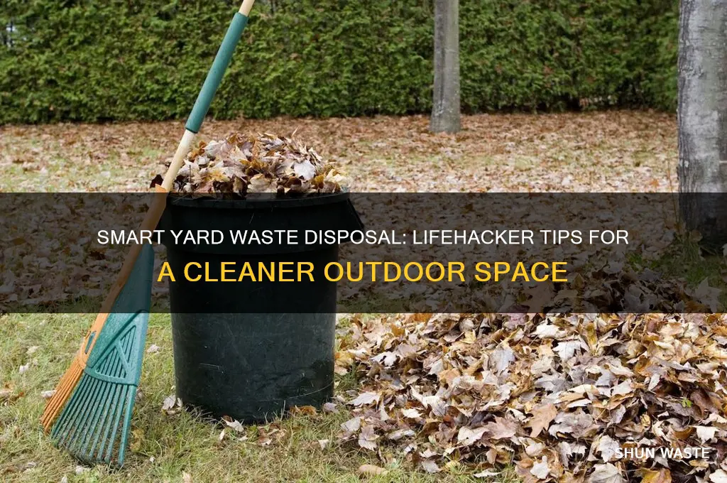 Smart Yard Waste Disposal: Lifehacker Tips For A Cleaner Outdoor Space ...