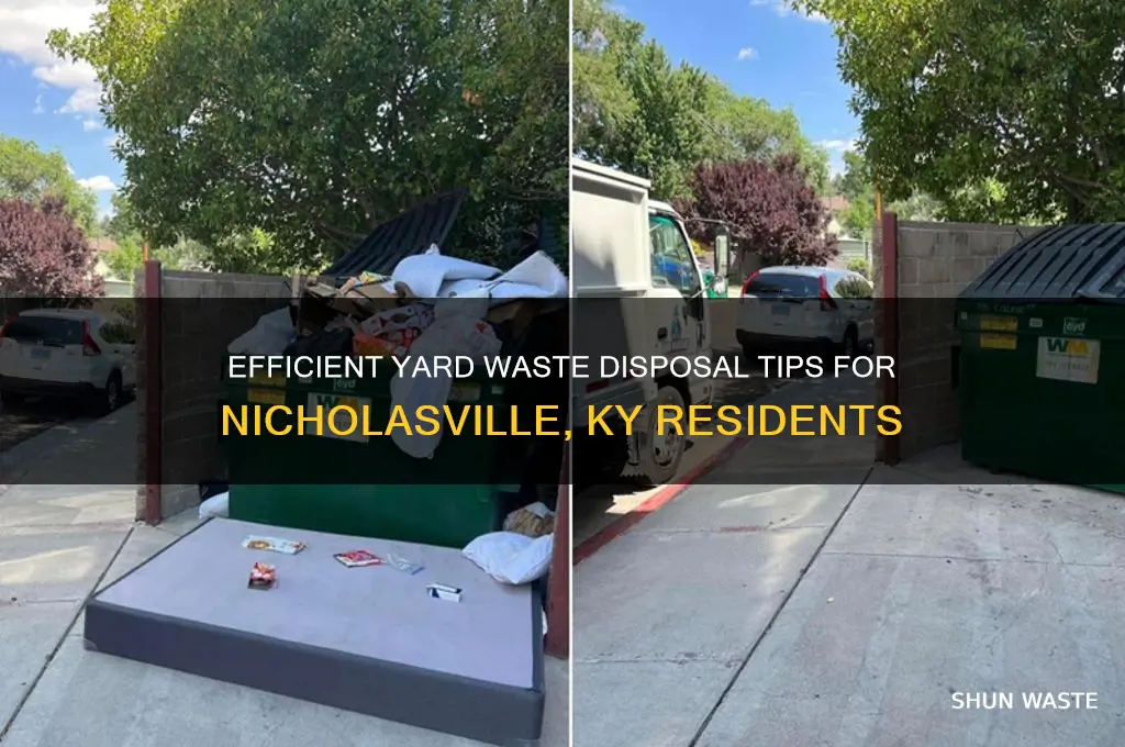 Efficient Yard Waste Disposal Tips For Nicholasville, Ky Residents ...