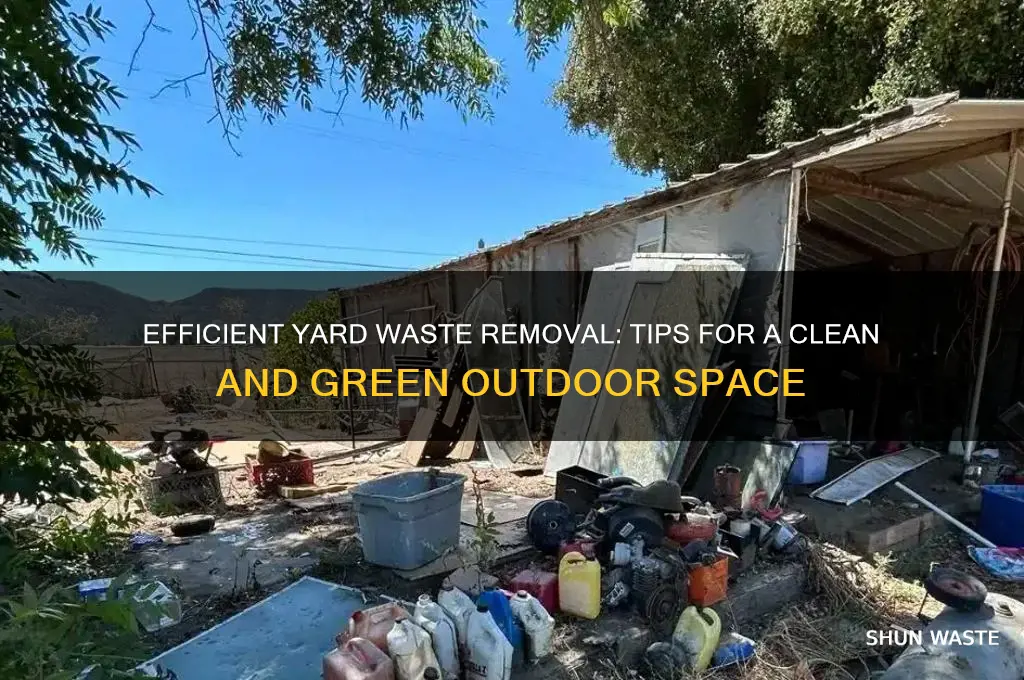 Efficient Yard Waste Removal: Tips For A Clean And Green Outdoor Space ...