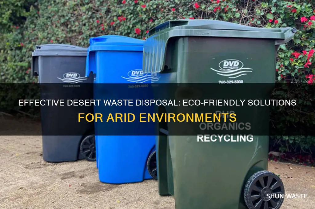 Effective Desert Waste Disposal: Eco-Friendly Solutions For Arid ...