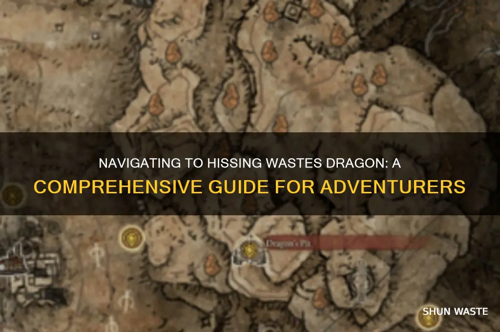 Navigating To Hissing Wastes Dragon: A Comprehensive Guide For ...