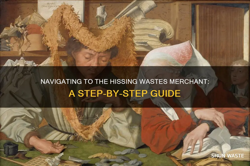 Navigating To The Hissing Wastes Merchant: A Step-By-Step Guide | ShunWaste