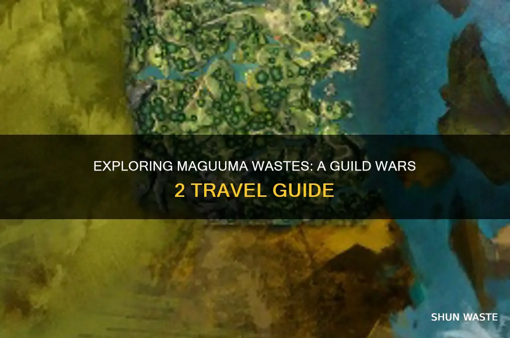 Exploring Maguuma Wastes: A Guild Wars 2 Travel Guide | ShunWaste