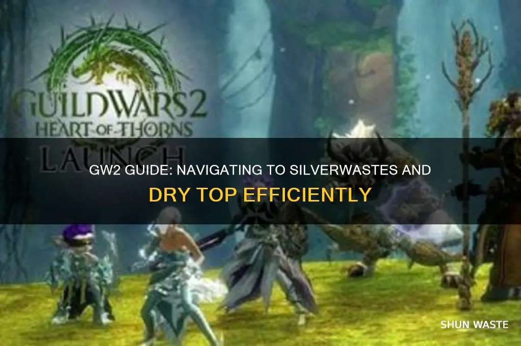 Gw2 Guide: Navigating To Silverwastes And Dry Top Efficiently | ShunWaste